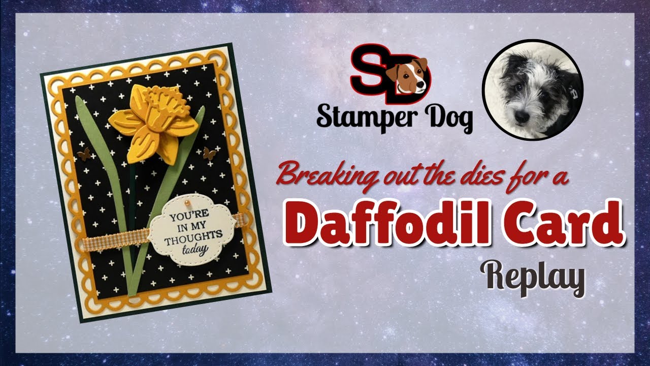 🔴 Breaking Out the Daffodil Dies - YouTube