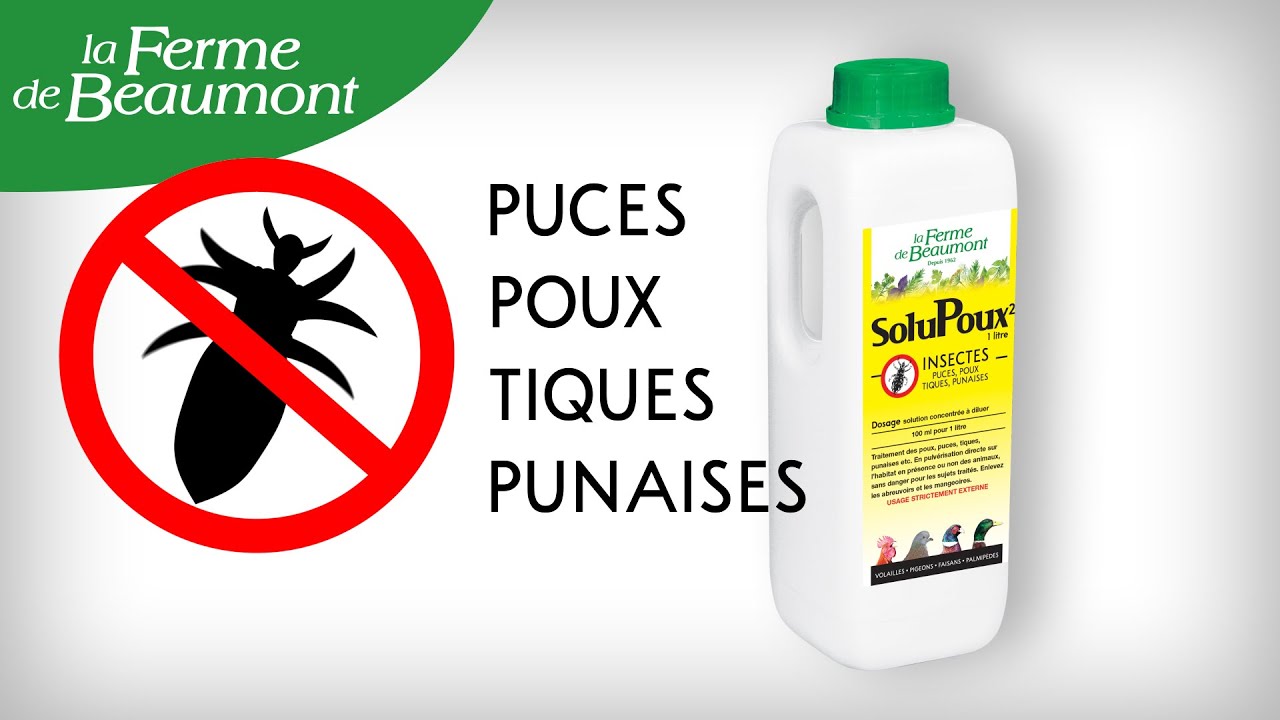SoluPoux - solution insecticide contre les poux rouges du poulailler ...