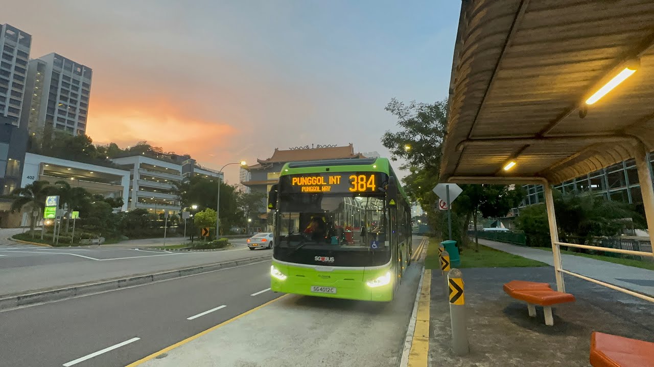 MRTravels on a Bus: SG4012C on Service 384 - YouTube