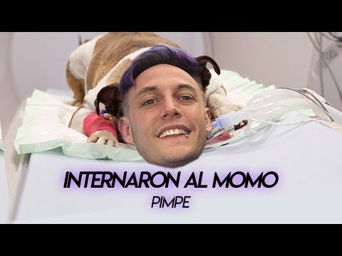 INTERNARON AL MOMO ♪ Pimpe