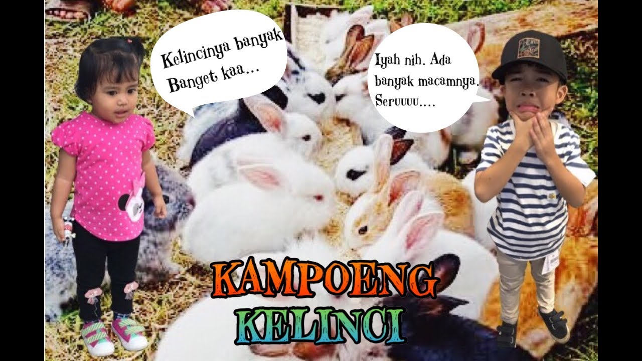 Udah tau belum Rabbit punya kampung??? - Explore Pekanbaru - YouTube