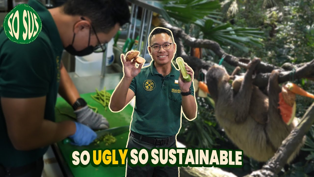 So Sus: Ugly Vegetables - YouTube