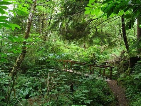 Native Plants of the Olympic Peninsula: A slide show with the Olympic ...
