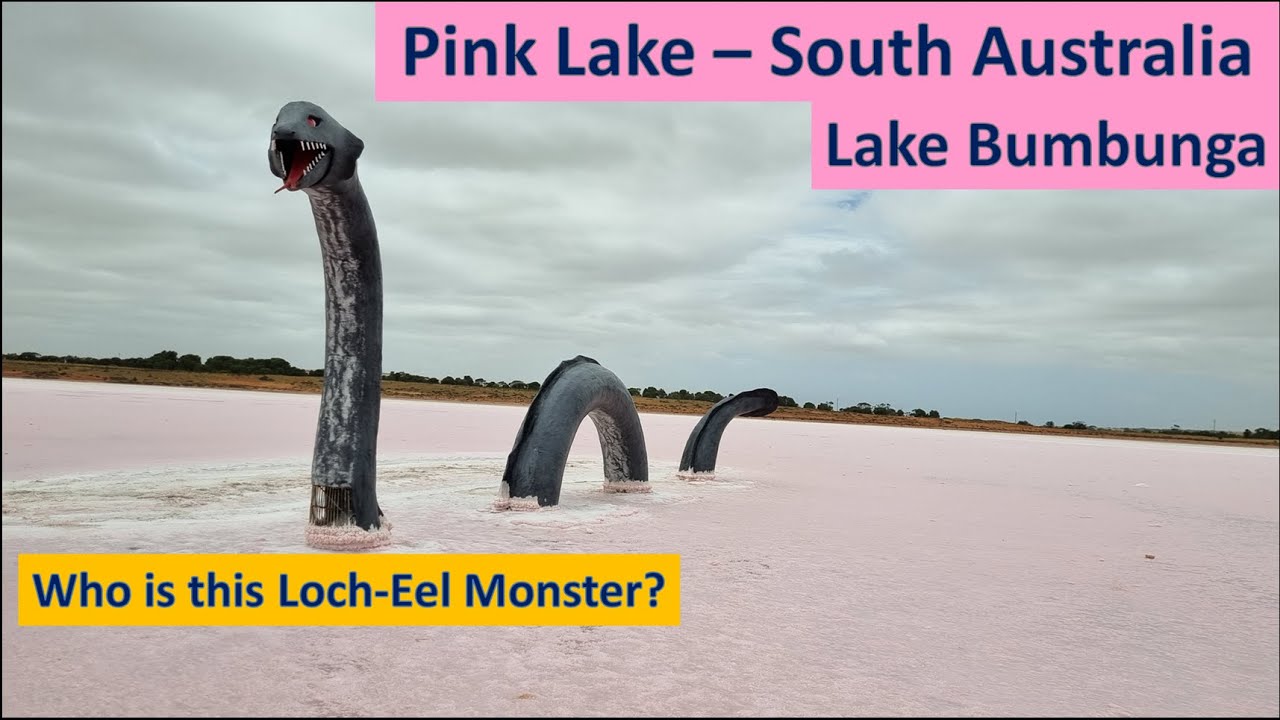 Pink Lake - Lake Bumbunga, South Australia | Things to do in South ...