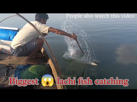 Fishing video 2023। Beggest lachi fish catching 😮। New fishing traps ...