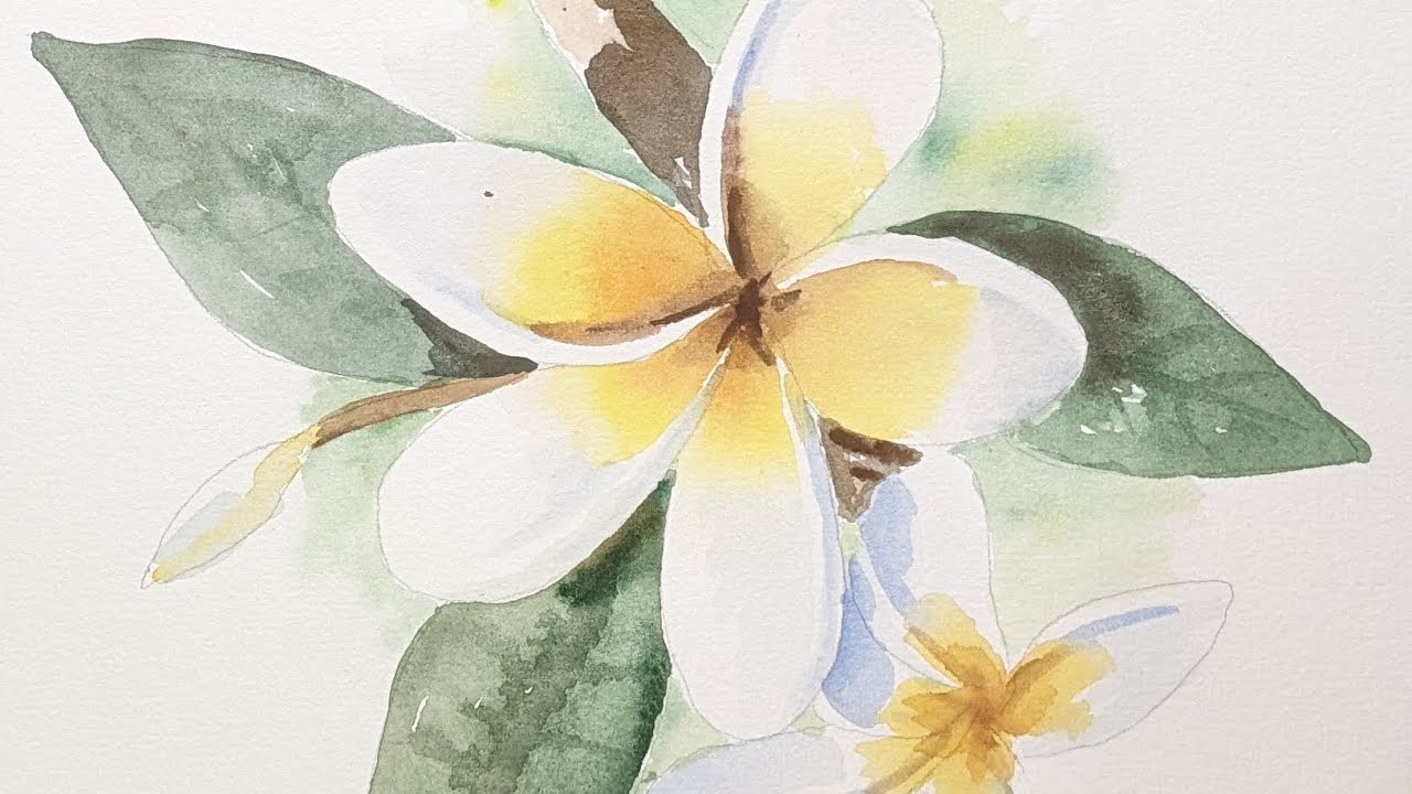 Paint these beautiful Frangipani flowers step by step - YouTube
