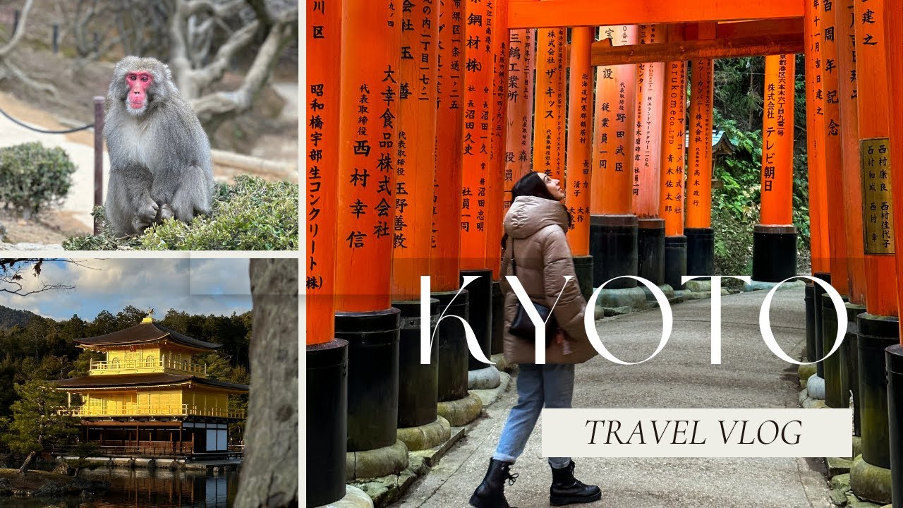 VIAJE A KYOTO - VEMOS MONOS JAPONESES + SUBIMOS AL FUSHIMI INARI | Mi ...