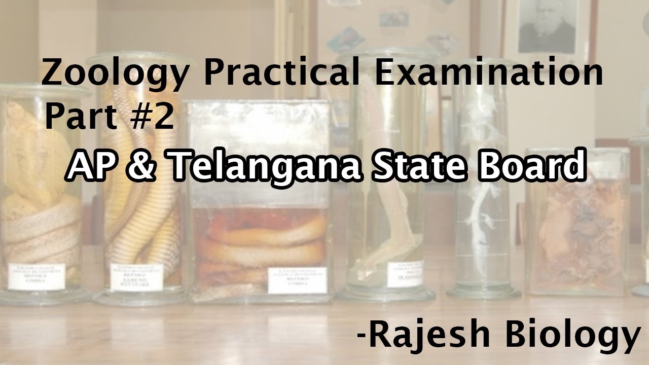 Zoology Practical Examination | Part #2 | Zoology Lab | Rajesh Biology ...