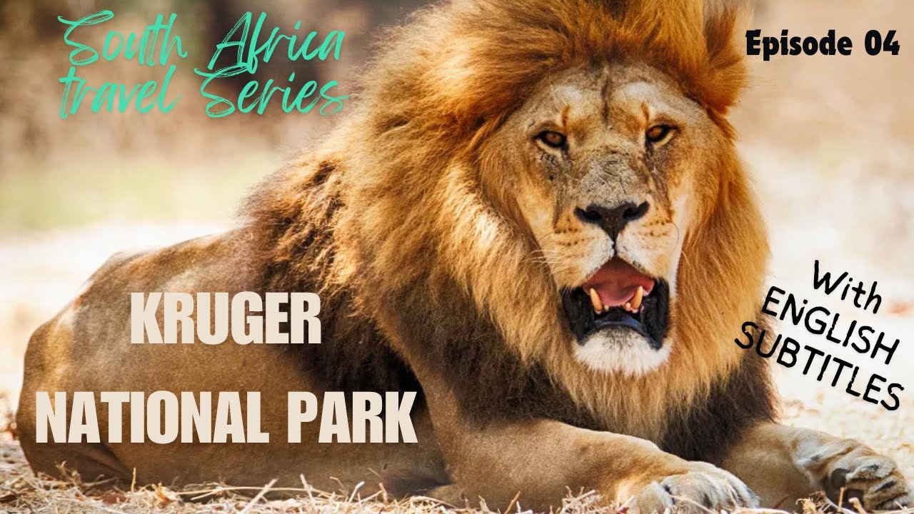 Kruger National Park / How to plan safari/ India to South Africa Tour ...
