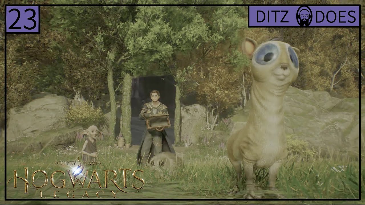 I AM BEASTMASTER!! | Ditz Does Hogwarts Legacy | PS5 Playthrough | Part ...