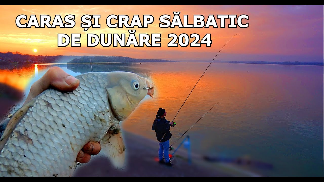 Pescuit Pe DUNARE La CARAS MARE și CRAP - Cu LANȚURILE prin NOROAIE in ...