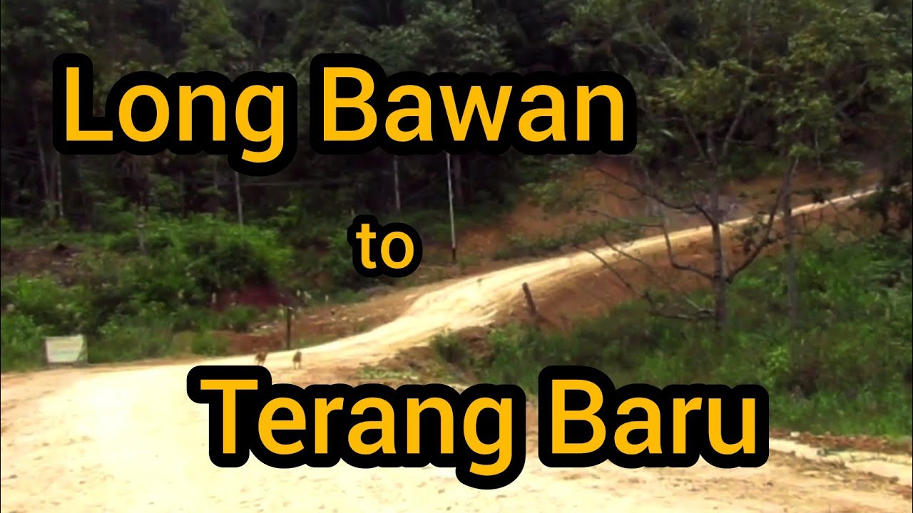 Jalan-jalan dari Desa Long Bawan ke Desa Terang Baru - YouTube