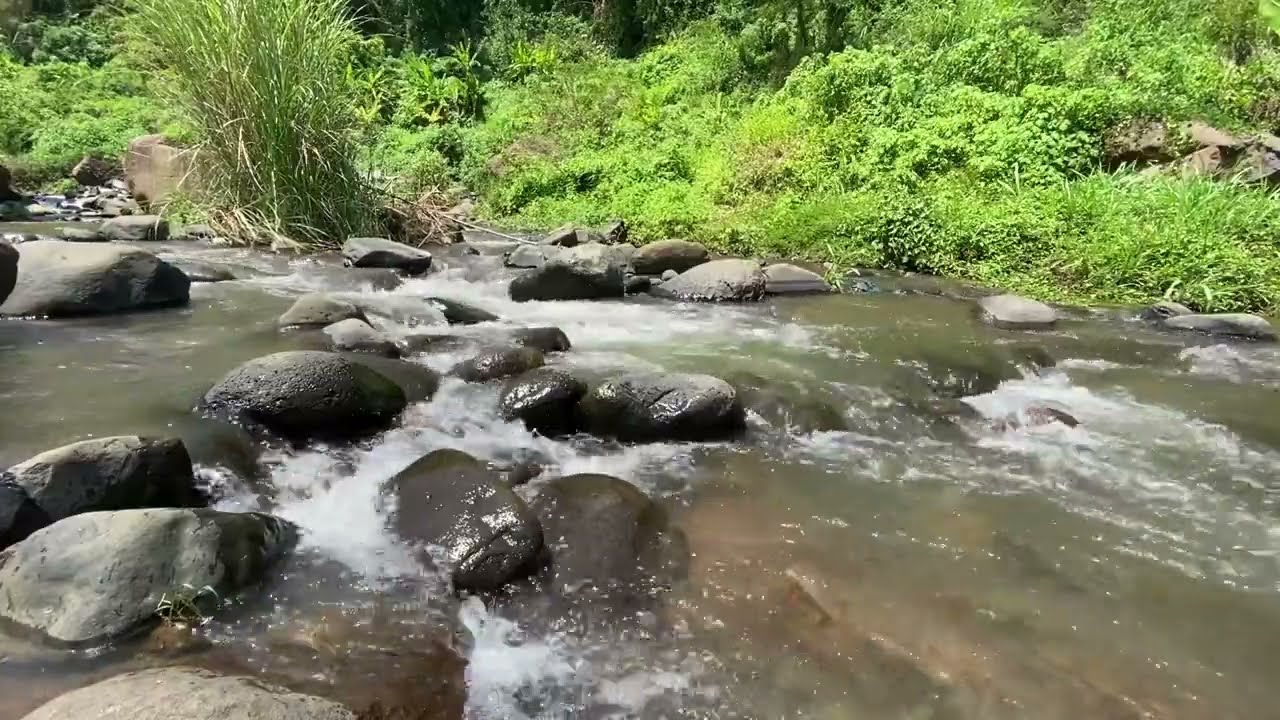 Small river flowing natural mountains. Soothing, peaceful and beautiful ...