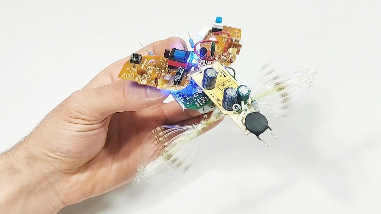 Electronic Flying Insect Model DIY - YouTube