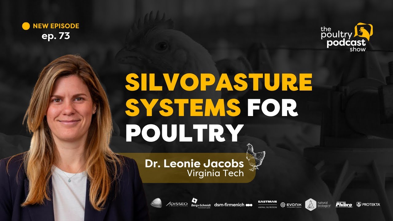 Dr. Leonie Jacobs: Silvopasture Systems for Poultry | Ep. 73 - YouTube