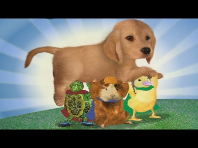 Wonder Pets Save The Puppy The Wonder Pets! | TV Time