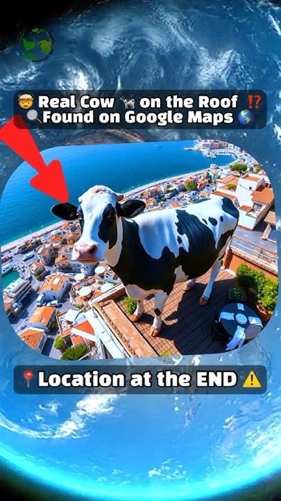 🐄I Found Cow on the Roof on Google Maps 🌎 #googleearth #googlemaps # ...
