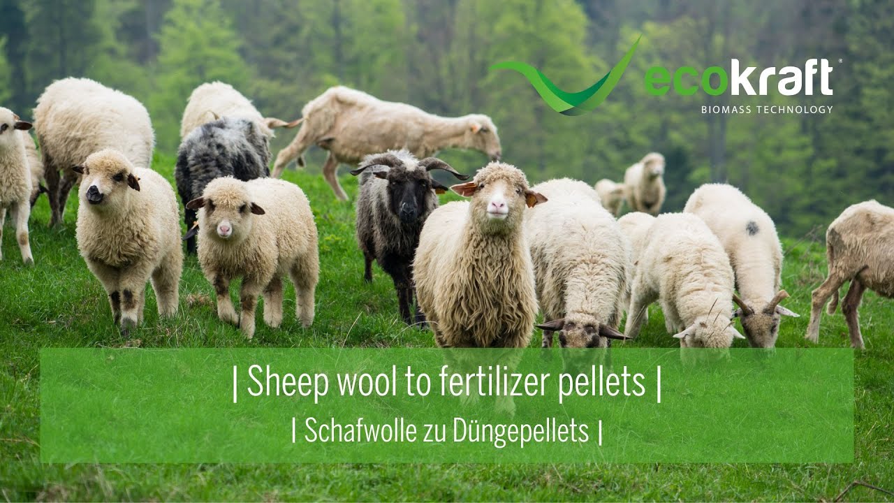 ECOKRAFT - Sheep wool to premium organic fertilizer pellets - YouTube