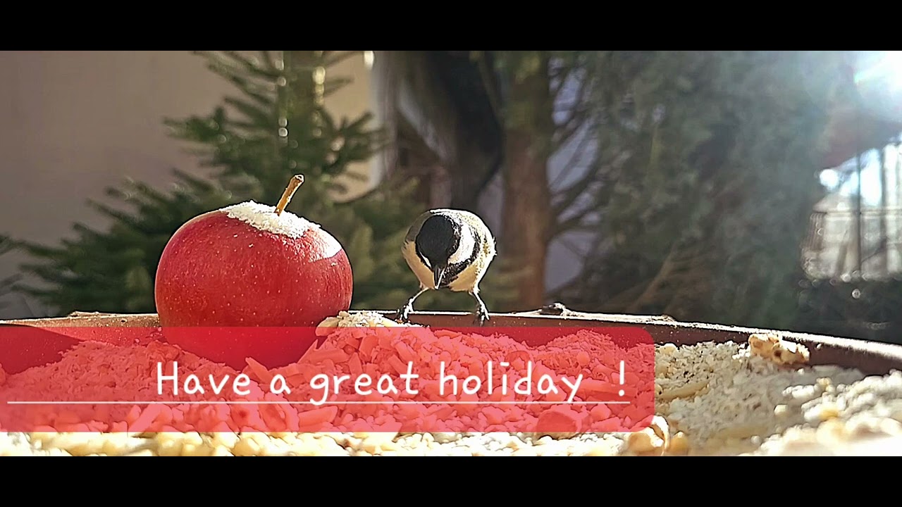 Have a great holiday ! - YouTube