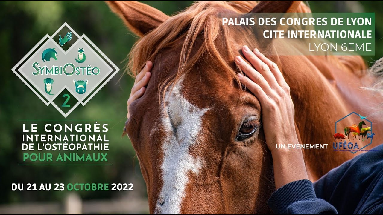 Bilan SymbiOsteo 2 - Le Congrès International de l’ostéopathie pour ...
