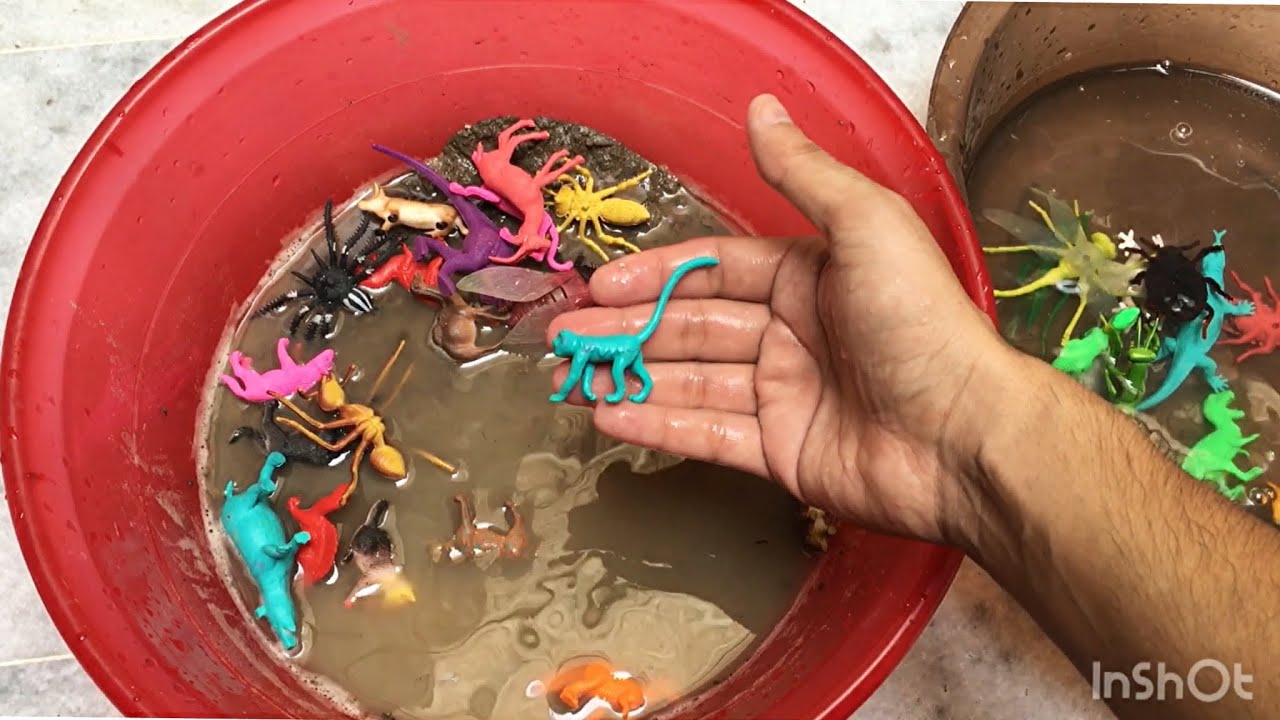Plastic Mini Animals clean in water Tub | plastic Animal Toys in water ...