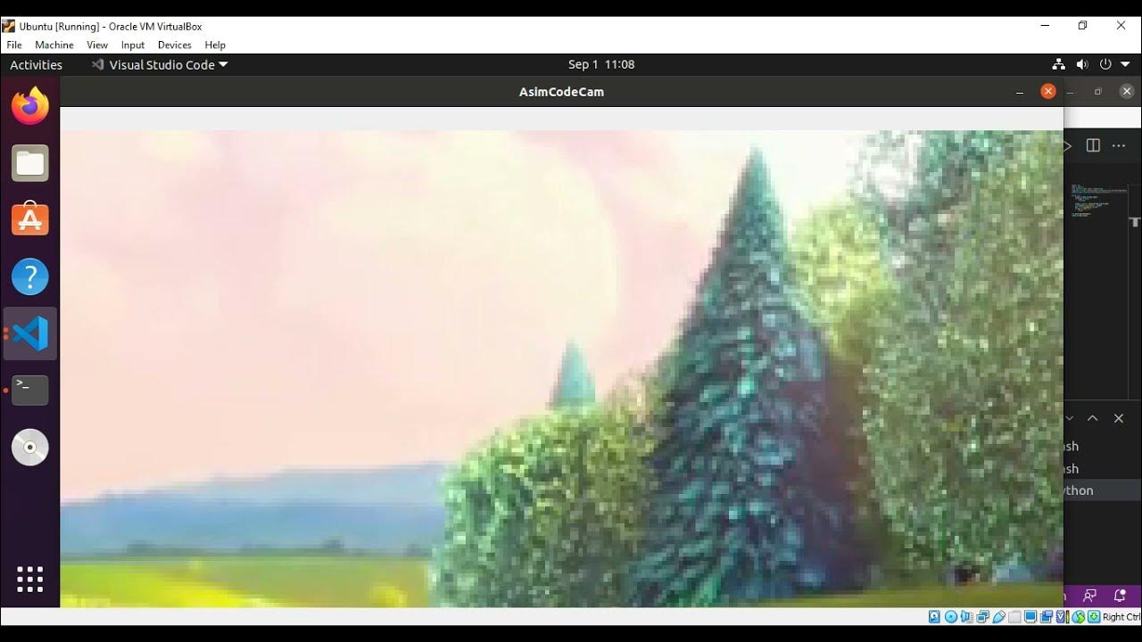 View RTSP Stream from IP Camera, Live video streaming over the network with OpenCV in Python ...