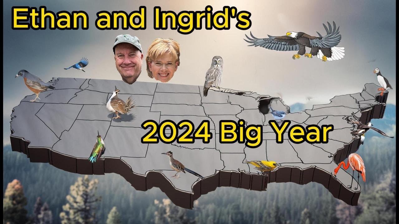 Ethan and Ingrid's 2024 Big Year (Halfway Point) - YouTube