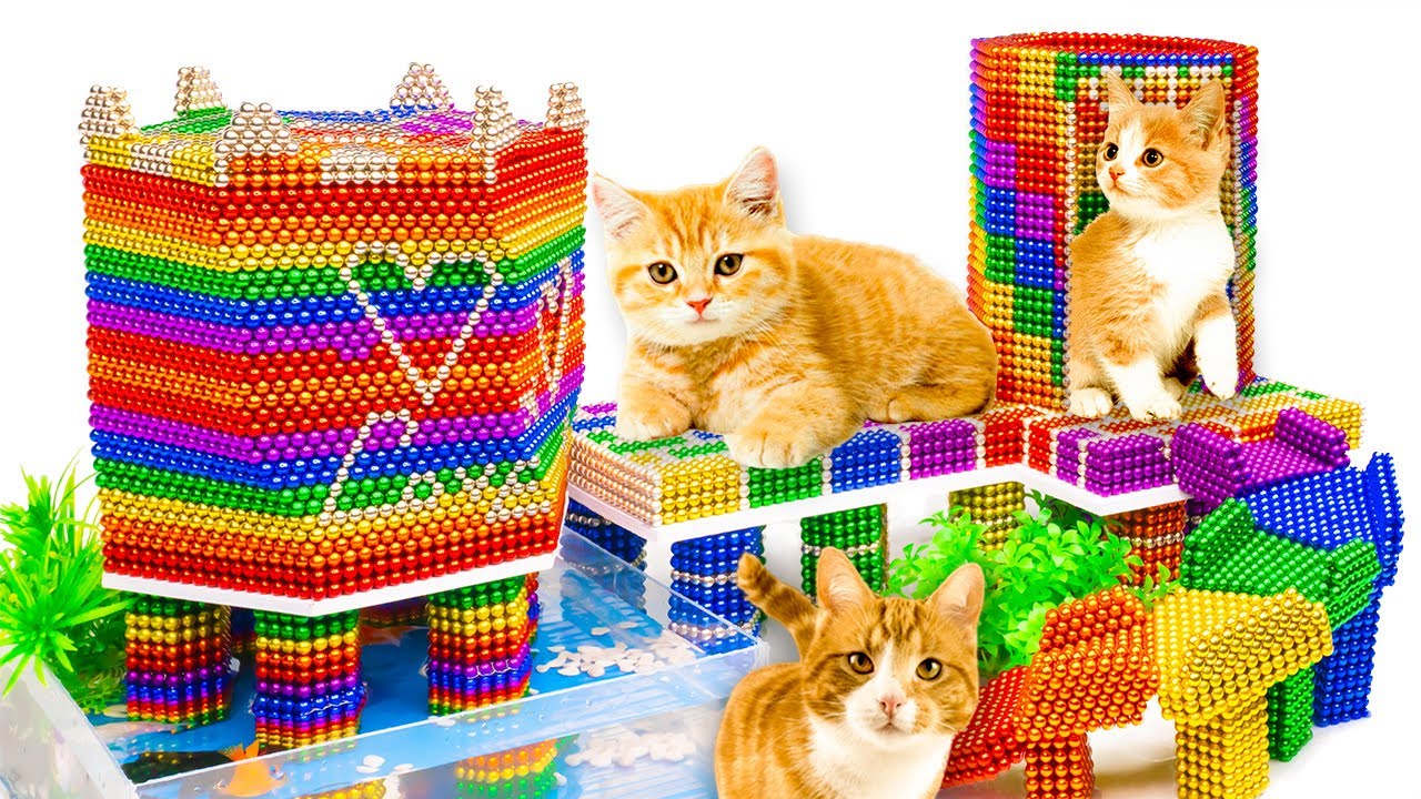 DIY - How To Build Mini Playground For Kitten Cat From Magnetic Balls ...