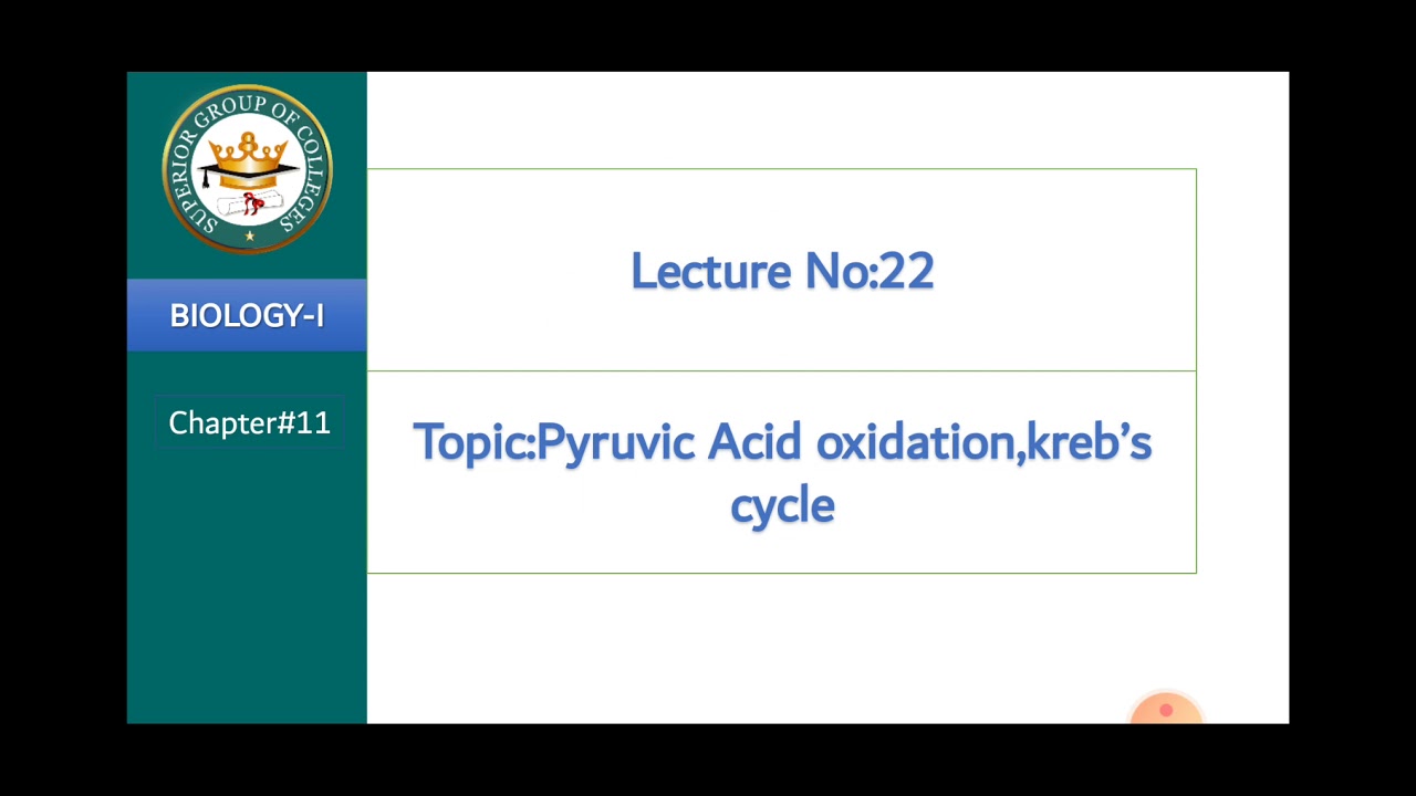 Pyruvic acid oxidation, kreb's cycle - YouTube