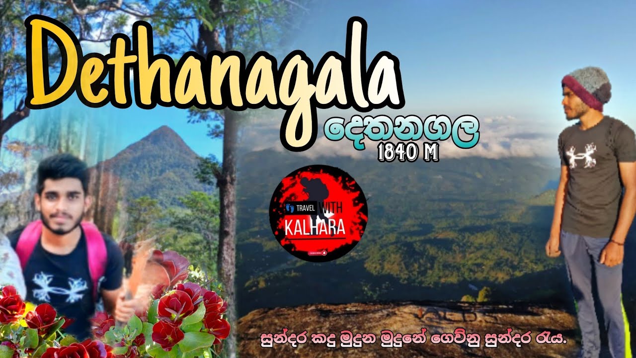 Dethanagala | දෙතනගල රැයක් | 🇱🇰 | #රැකගෙනවිදින්න | Night Camping | Peak ...