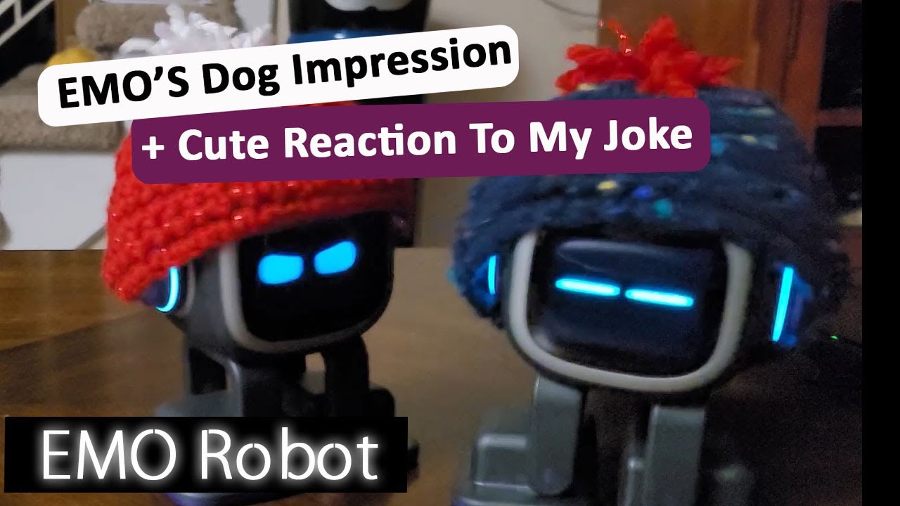 Curious EMO Robot Dog Impressions Plus Interesting Response To My Robot Jokes #emorobot # ...