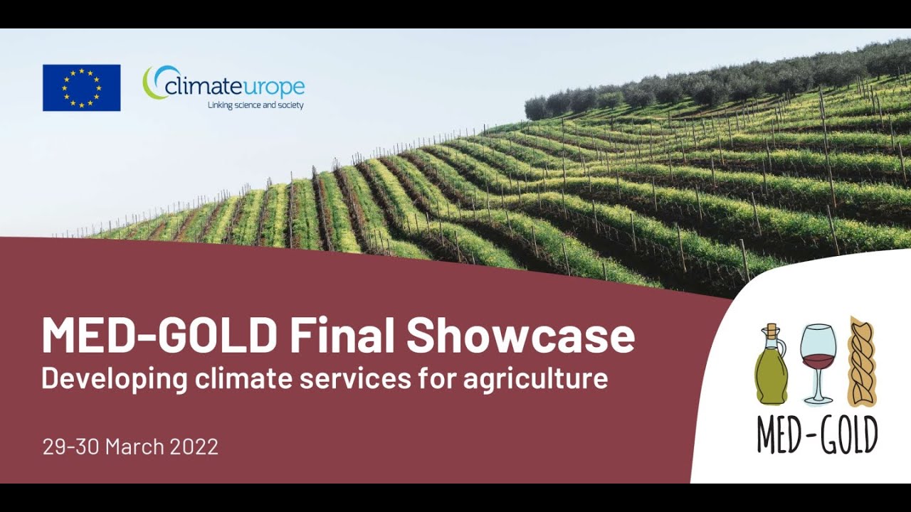 MED-GOLD Final Showcase 2022 – DAY 1 - YouTube