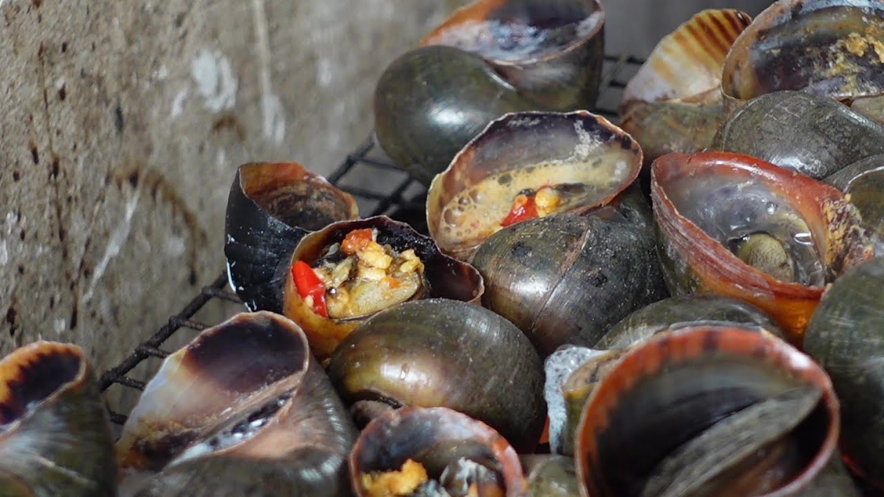 Roast snails with chili sauce - YouTube