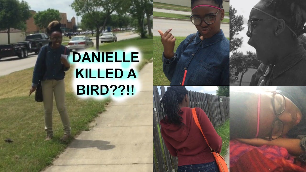 Vlog: Danielle KILLED A BIRD!!! - YouTube