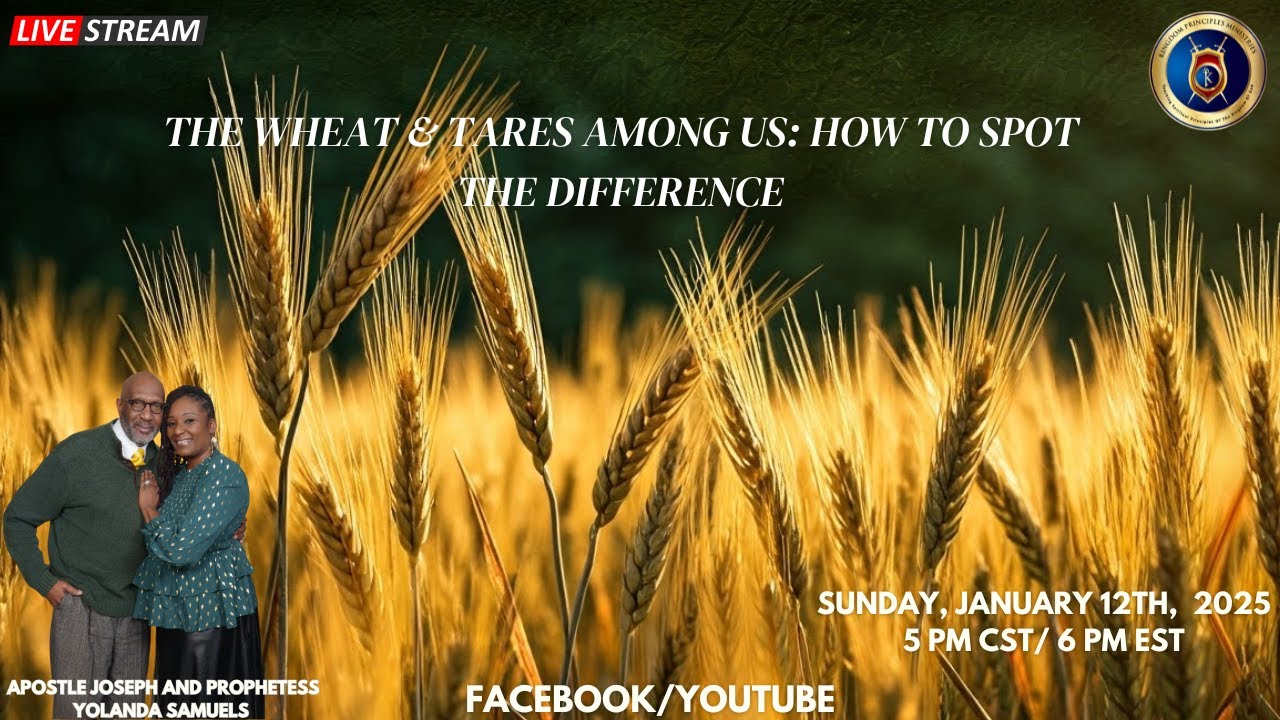 The Wheat & Tares Among Us: How to Spot the Difference - YouTube