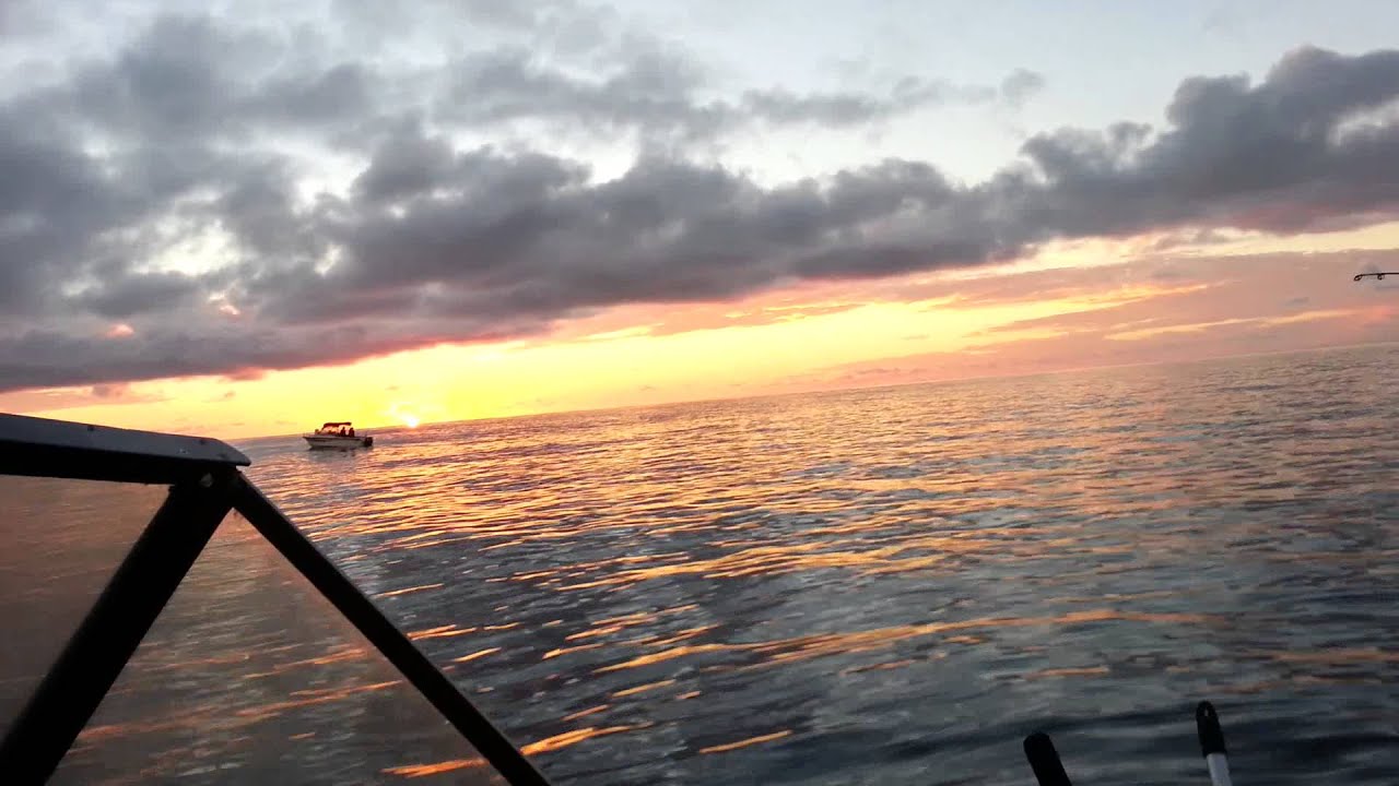 3 mile reef Mindarie - YouTube