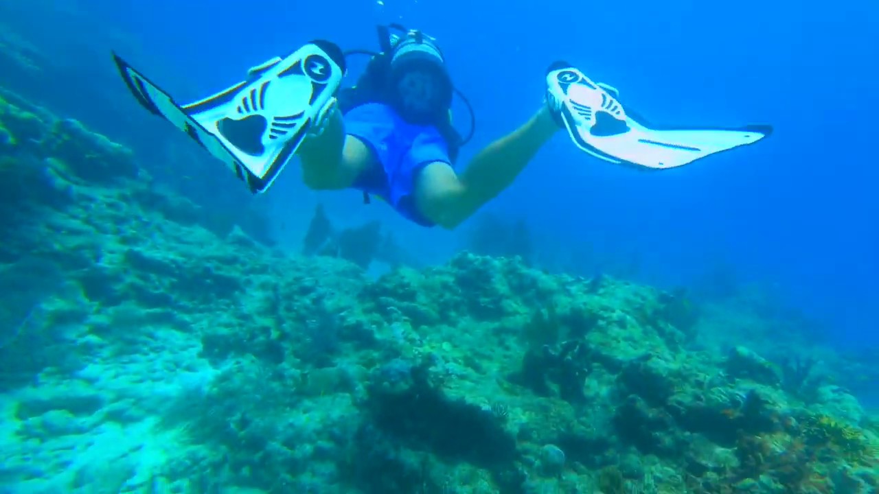 Shark Jump Scare - YouTube