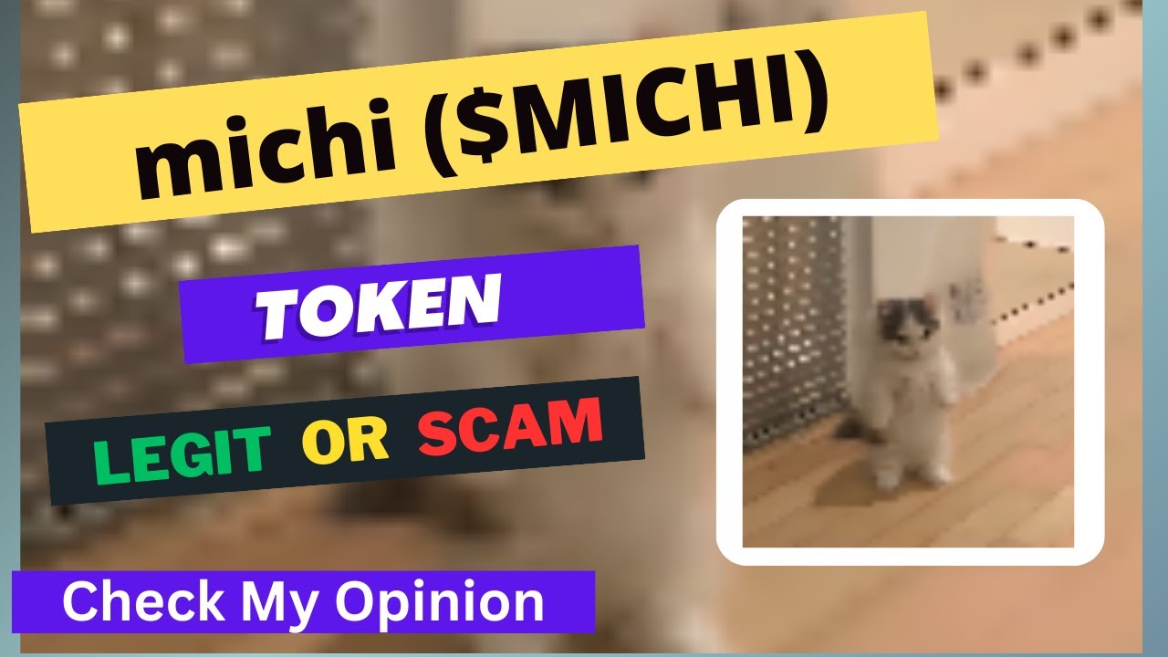 michi (MICHI) Token is a Legit or Scam | Is MICHI token Legit or Scam ? - YouTube