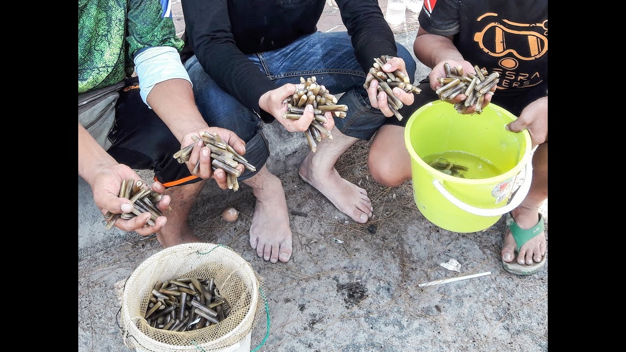 RANDUK: How to catch Razor clam - YouTube