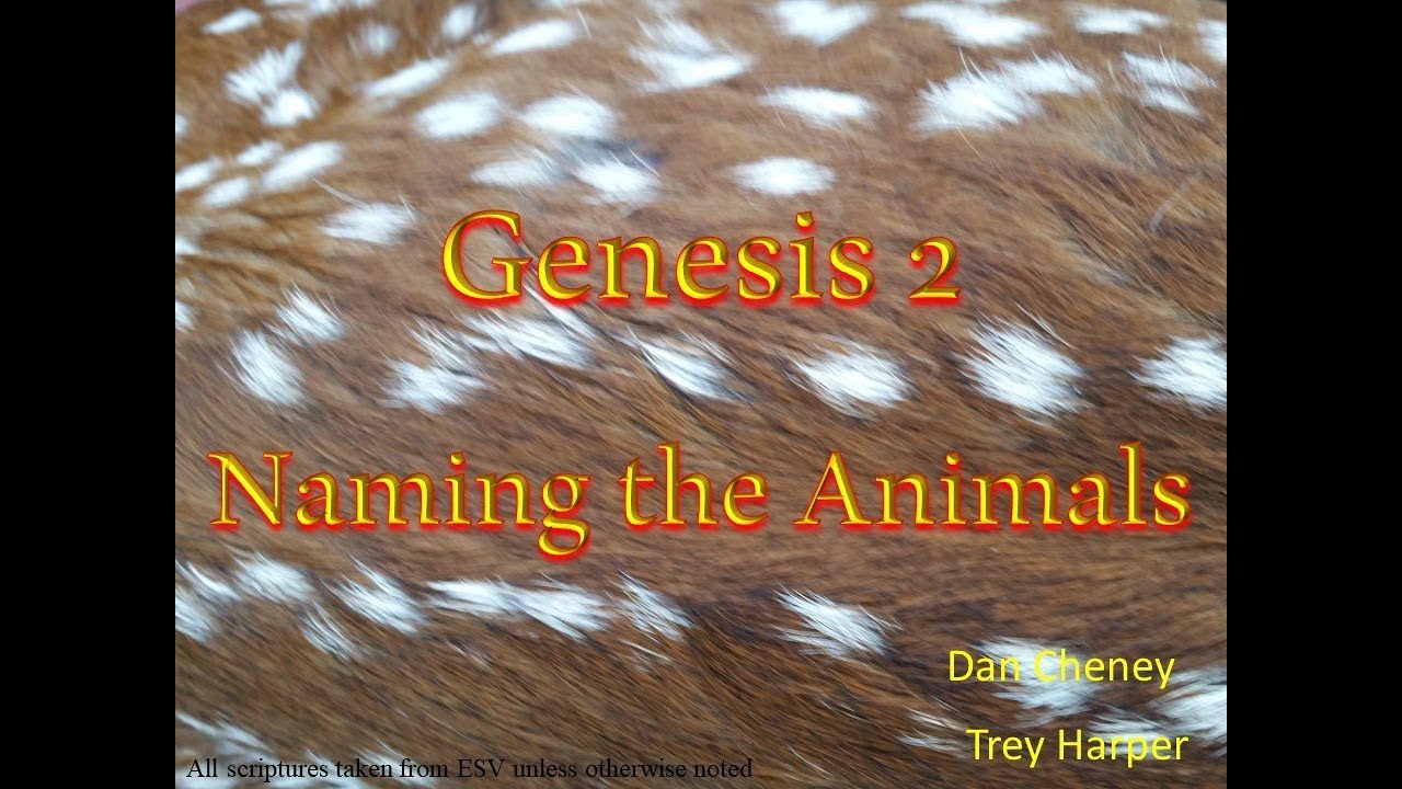 Genesis 2 | Naming the Animals - YouTube