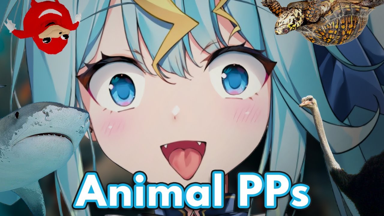 Clara Looks Up Animal PP On Stream - YouTube
