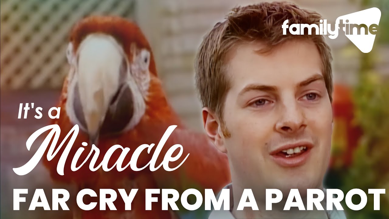 A Parrot Hears A Cry For Help | It's A Miracle - YouTube