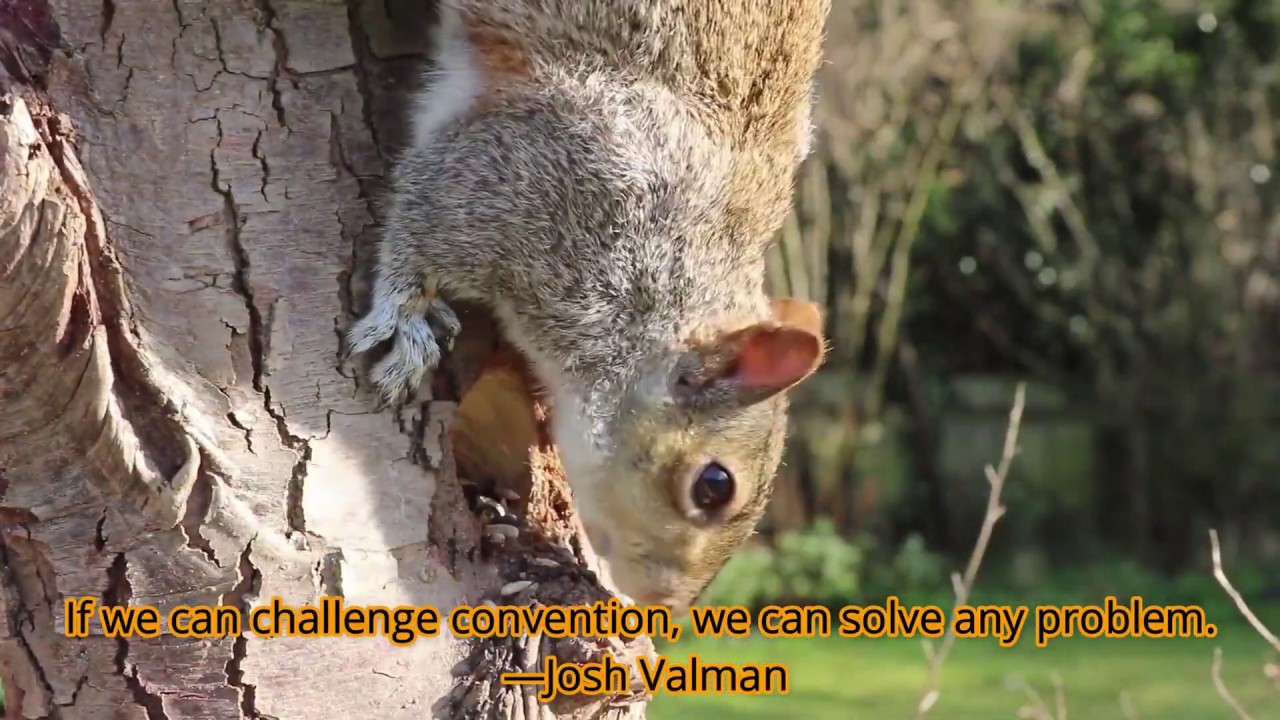 If we can challenge convention, we can solve any problem. —Josh Valman ...