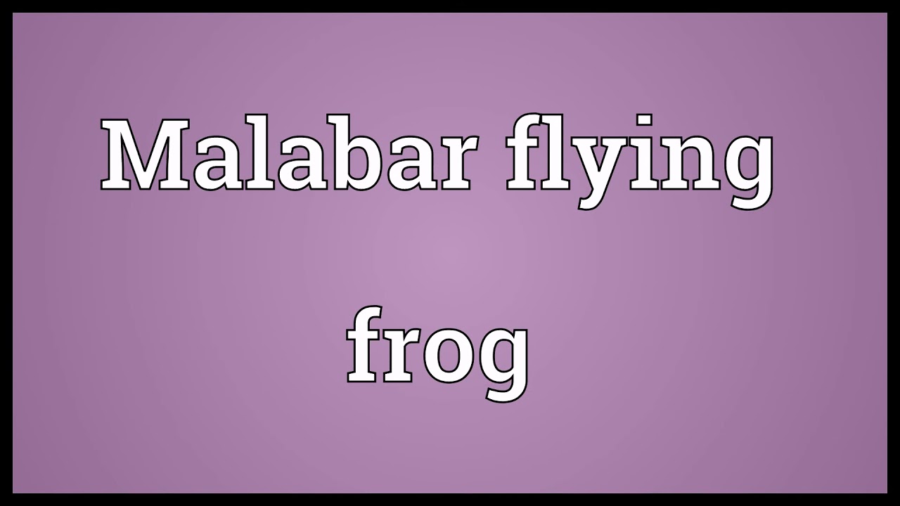 Malabar flying frog Meaning - YouTube