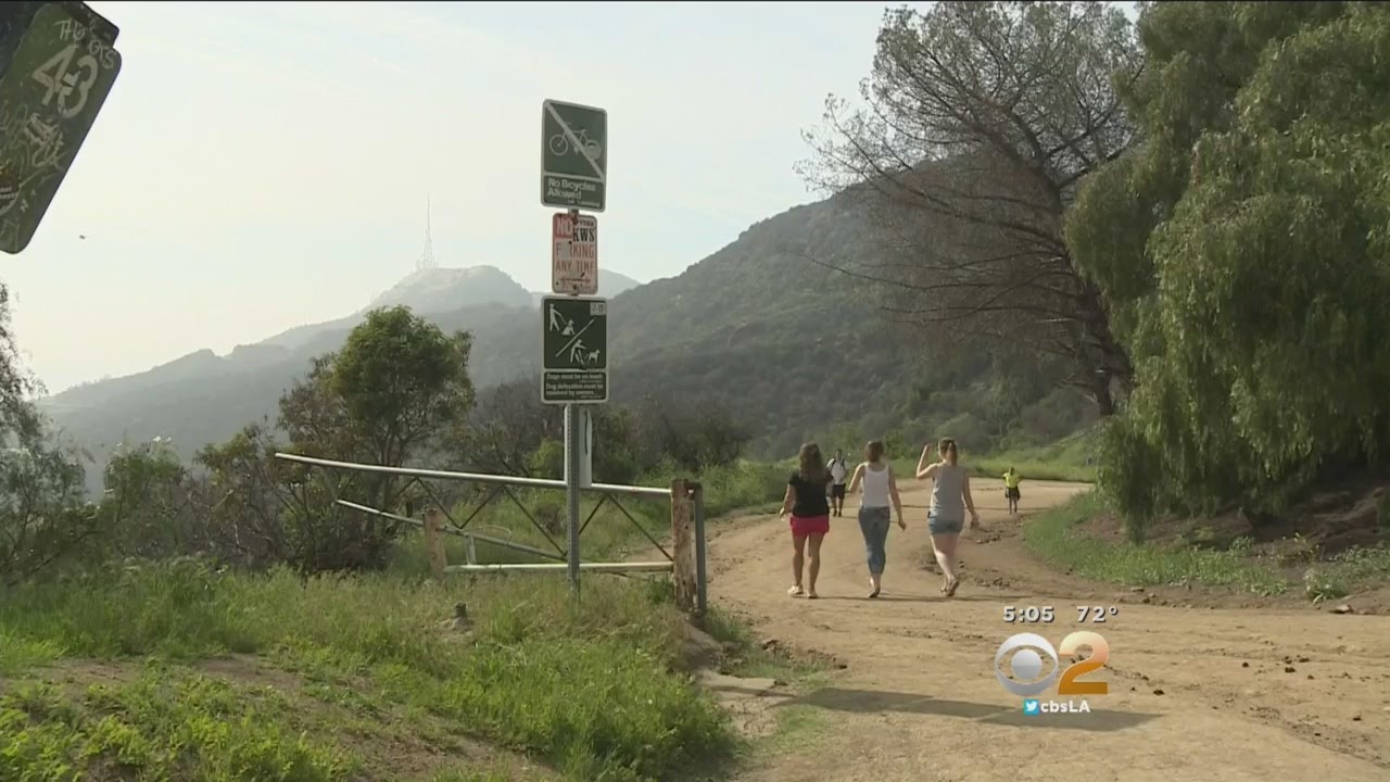 Homicide Investigation Underway After Part Of Human Skull Is Found In ...