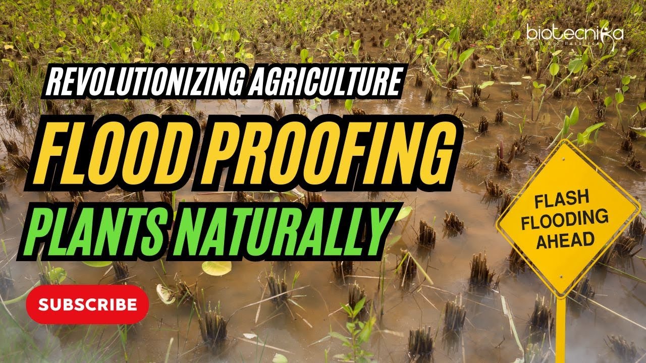 Revolutionizing Agriculture : Flood Proofing Plants Naturally # ...