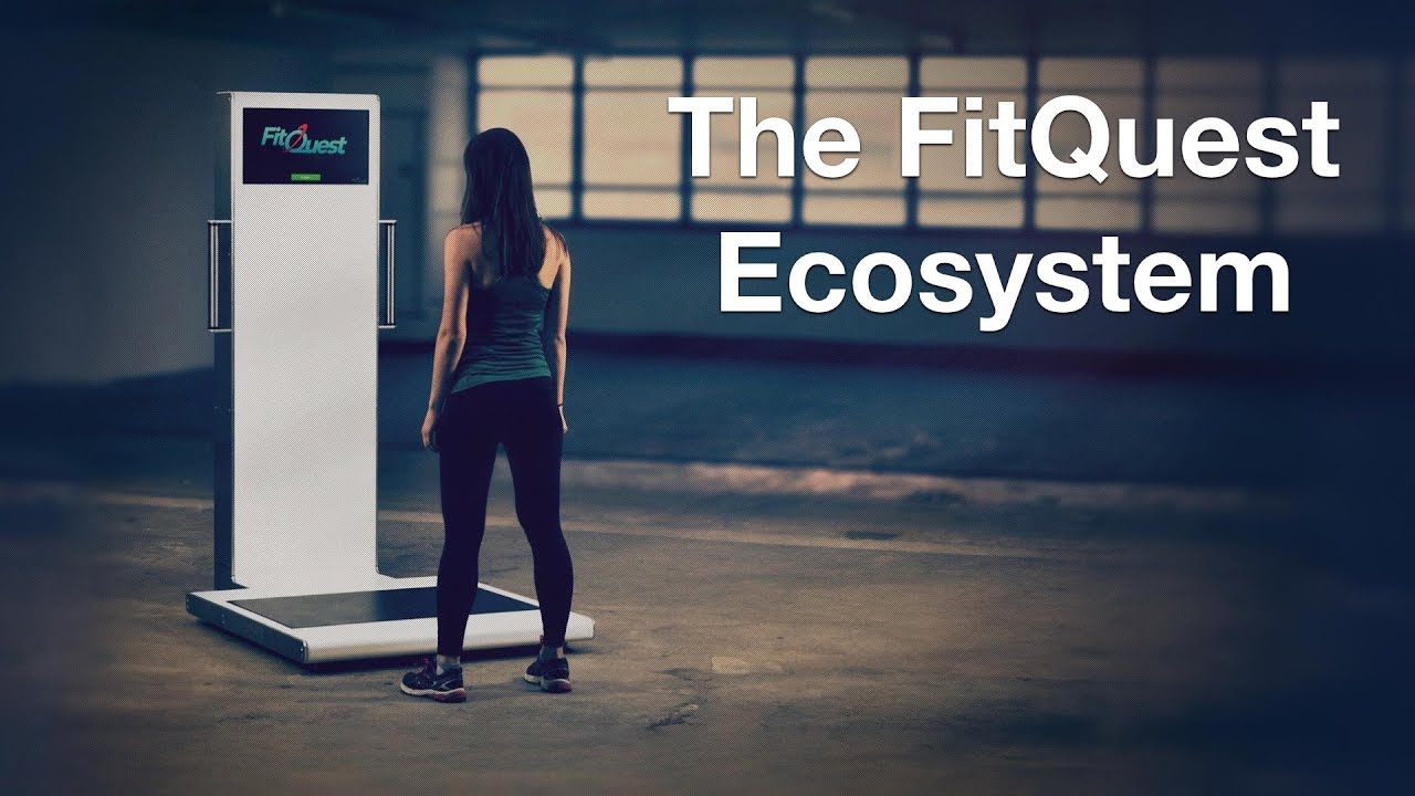 The FitQuest Ecosystem - YouTube