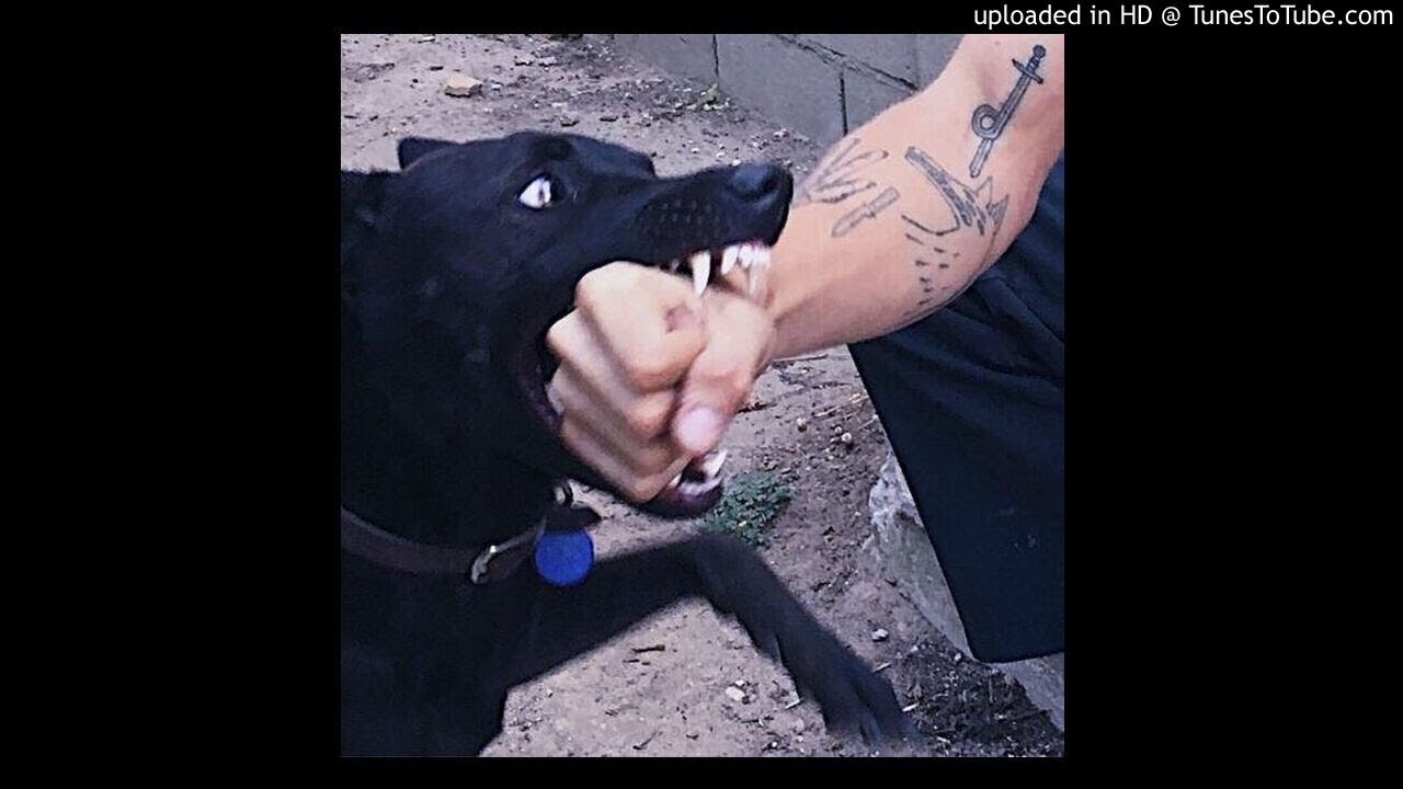 [FREE] Tokyo's x Splurge - " Dog " - No Melo - (prod.Malfoy) - YouTube