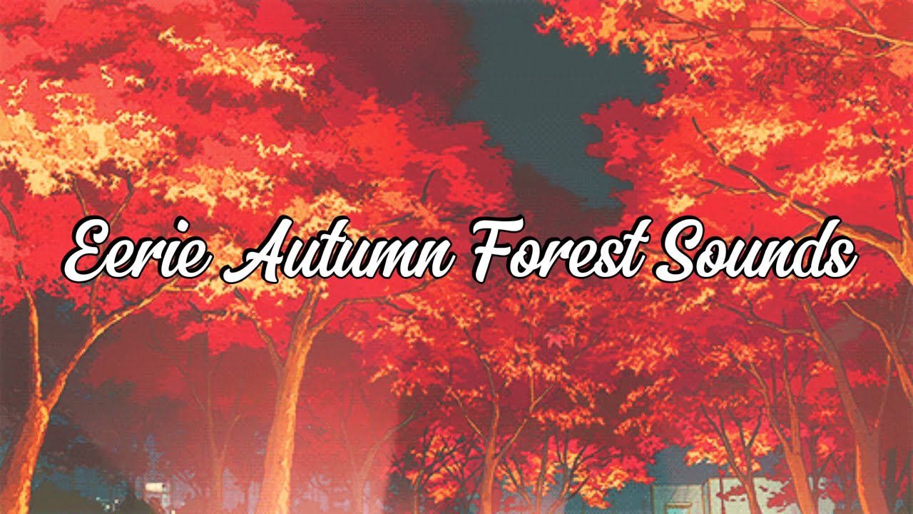 Spooky Autumn Ambience: Eerie Forest Sounds for Halloween | 1 Hour of ...