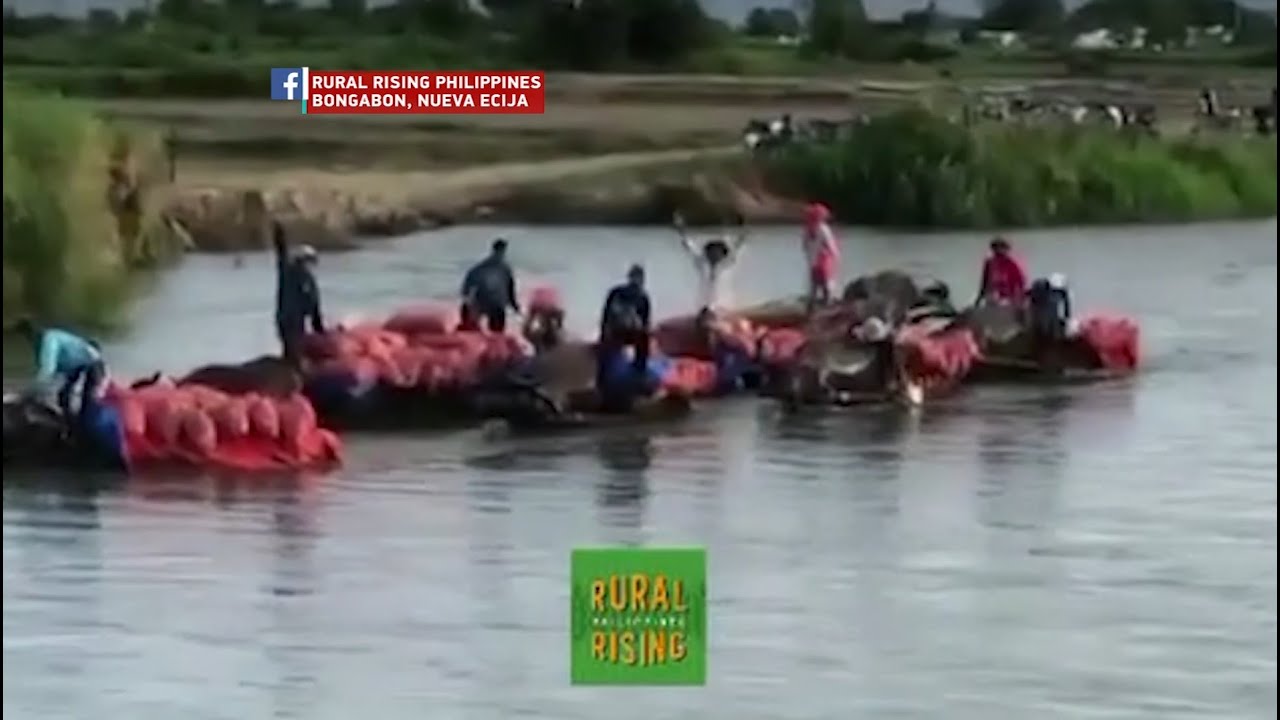 Sako-sakong sibuyas, nabasa sa ulan at baha | SONA - YouTube